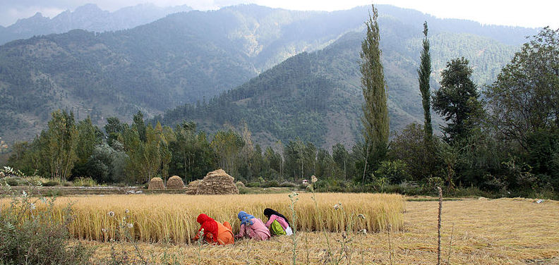 Three Poems by Rishitha Shetty