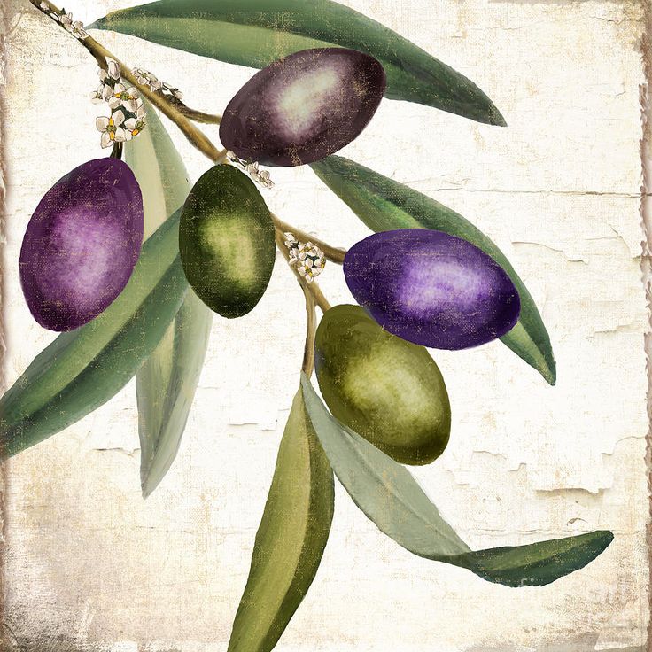 Olives by Victoria Crawford